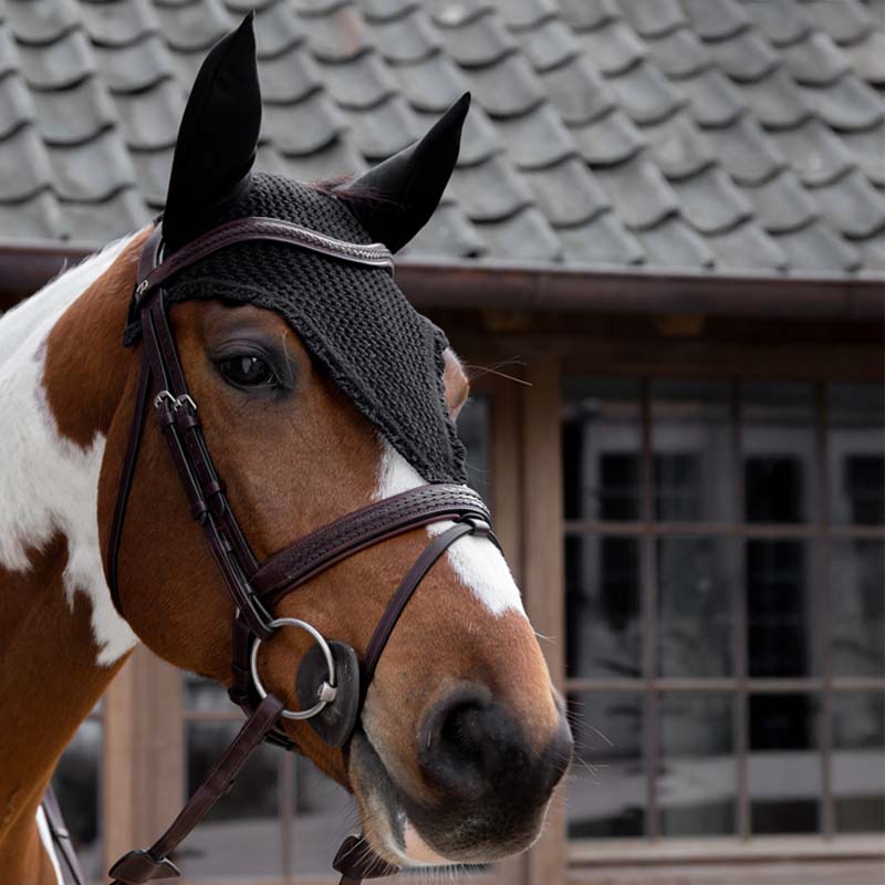 Kentucky Horsewear Lang Ørehette Loop Svart → Equinest